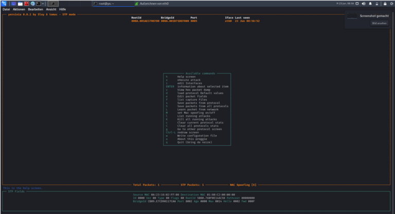 Spanning Tree Protocol Attacks: Protective Measures